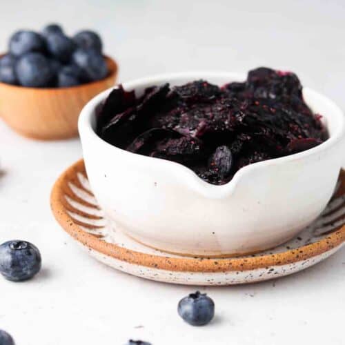 Dehydrated Blueberries - Allianna's Kitchen
