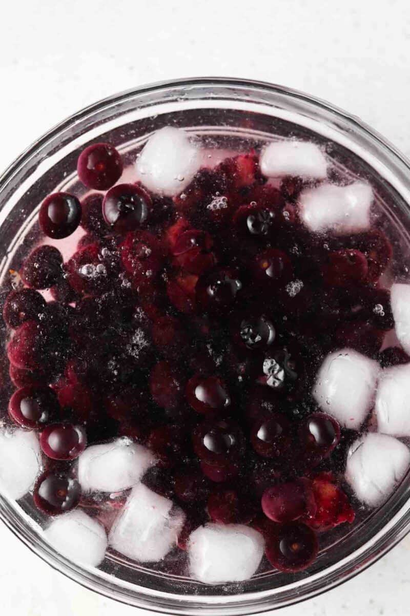 Dehydrated Blueberries - Allianna's Kitchen