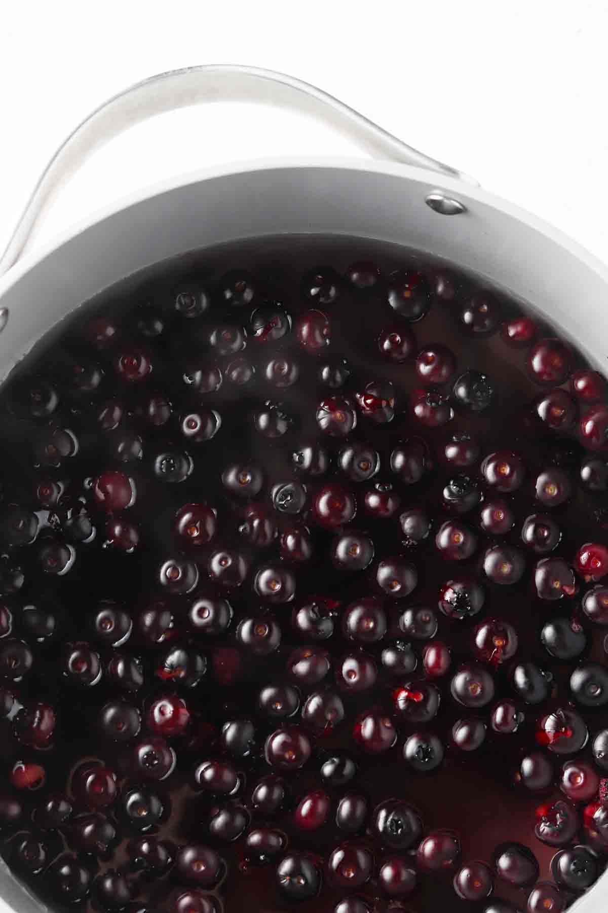 Dehydrated Blueberries - Allianna's Kitchen