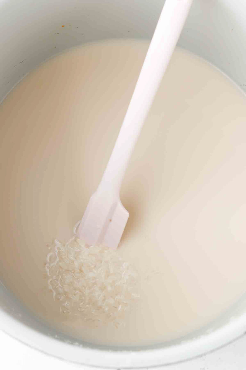 Instant Pot Coconut Rice - Allianna's Kitchen